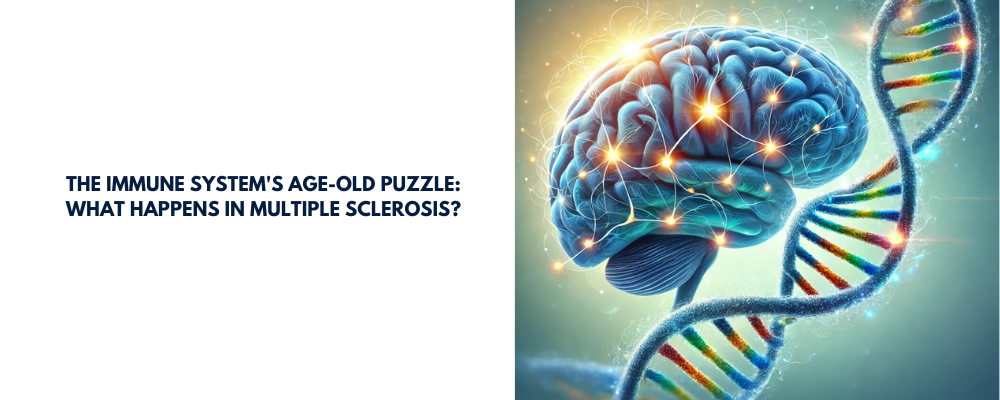 The Immune System's Age-Old Puzzle: What Happens in Multiple Sclerosis ...