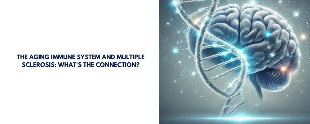 The Aging Immune System and Multiple Sclerosis: What's the Connection ...