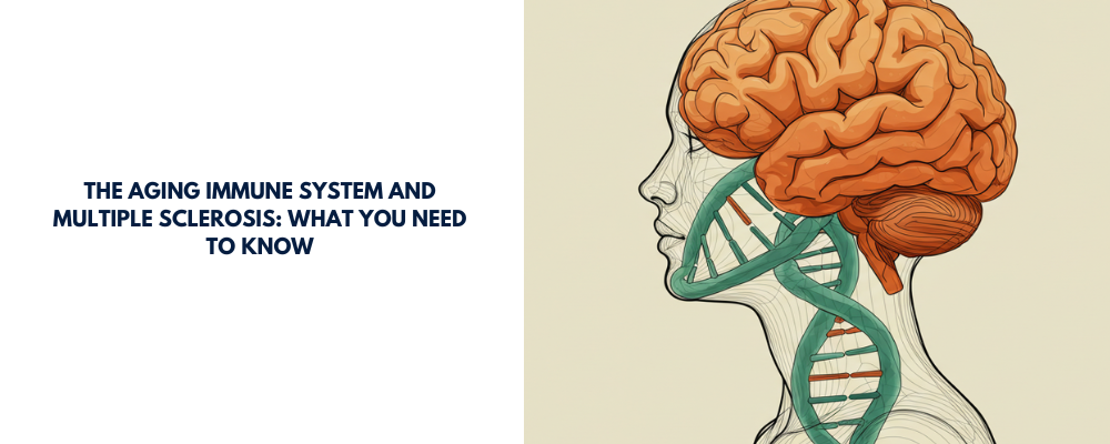 The Aging Immune System and Multiple Sclerosis: What You Need to Know ...