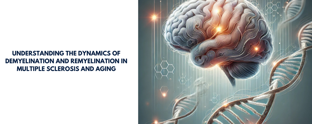 Understanding the Dynamics of Demyelination and Remyelination in ...