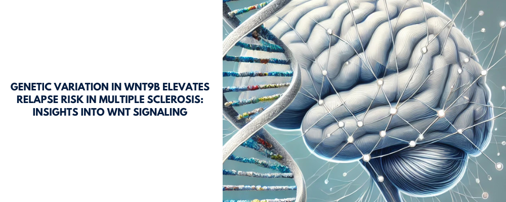 Genetic Variation in WNT9B Elevates Relapse Risk in Multiple Sclerosis ...